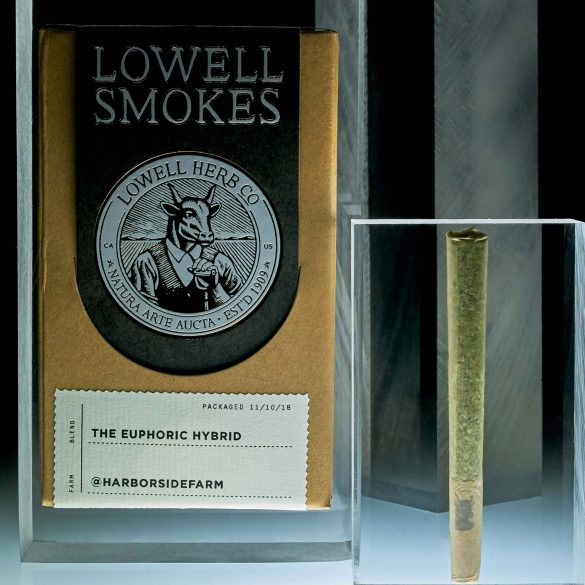 Cultivating Cannabis Culture | Stoned Fox