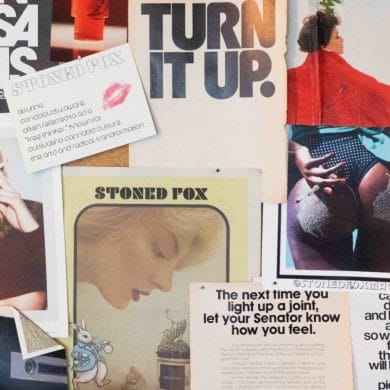 Cultivating Conscious Culture | Stoned Fox